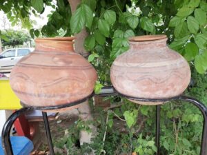 14 Incredible Gharial Facts - Fact Animal