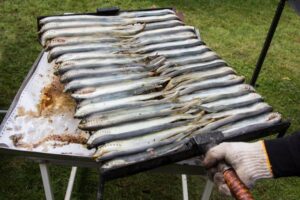 16 Little-Known Lamprey Fish Facts - Fact Animal