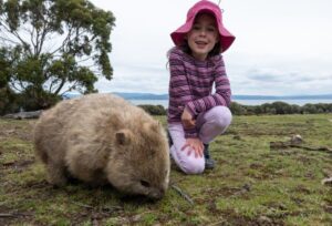 10 Wicked Wombat Facts - Fact Animal