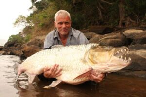 13 Crazy Goliath Tigerfish Facts - Fact Animal