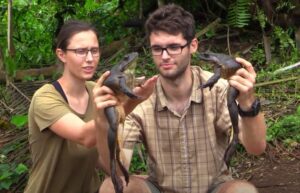 15 Goliath Frog Facts - Fact Animal