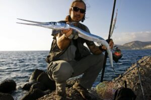 10 Needlefish Facts - Fact Animal