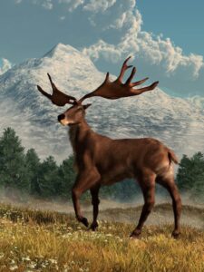 8 Irish Elk Facts - Fact Animal